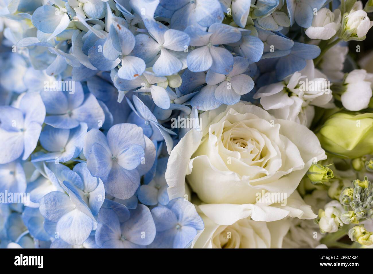 Flower bouquet in blue color Stock Photo - Alamy