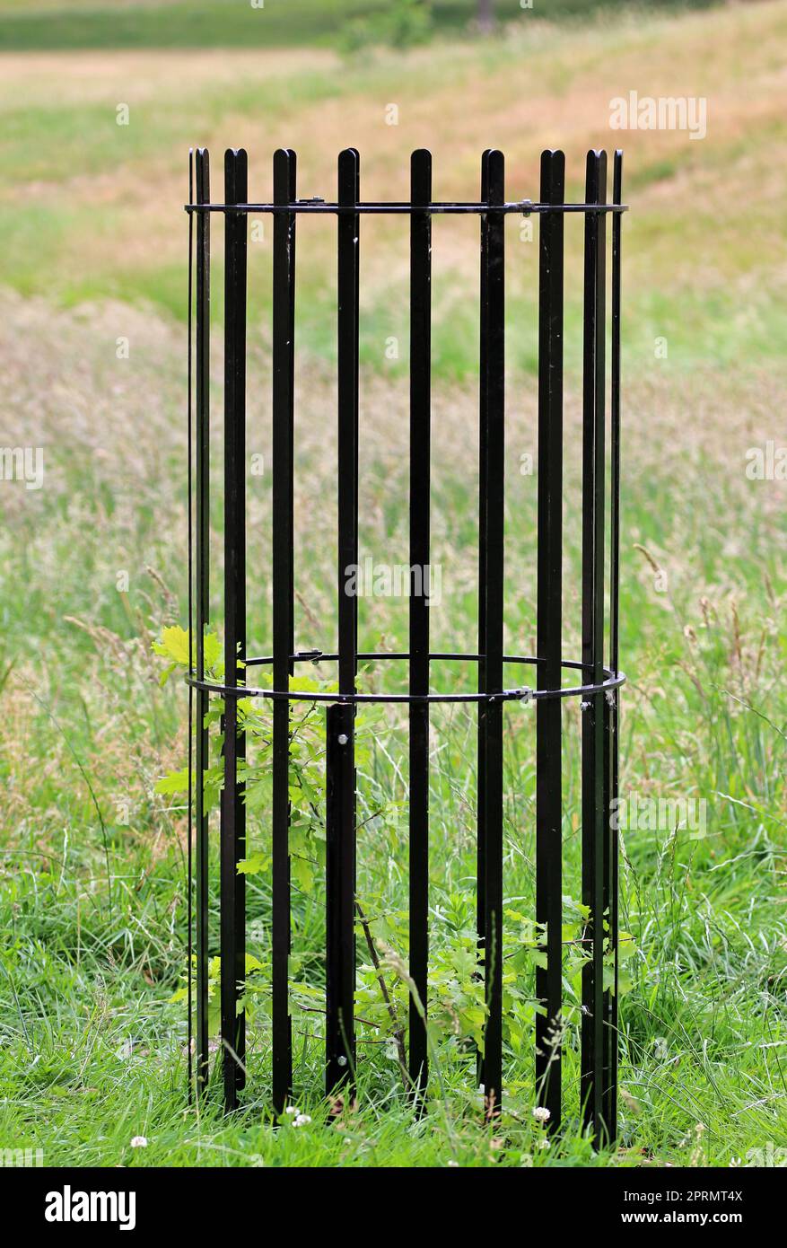 Tree guard hi-res stock photography and images - Alamy