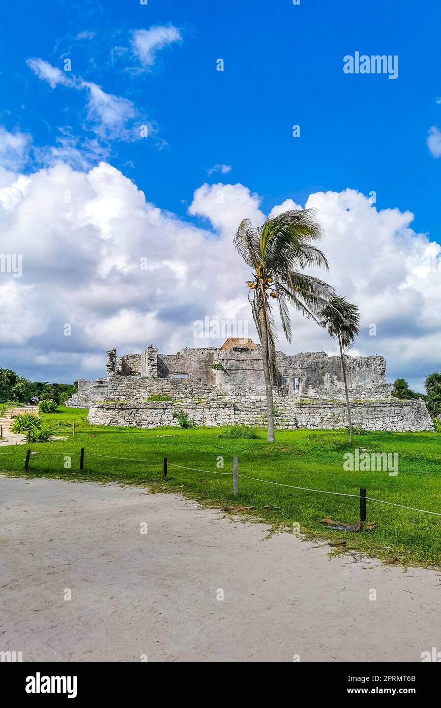 Ancient Tulum ruins Mayan site temple pyramids artifacts seascape ...