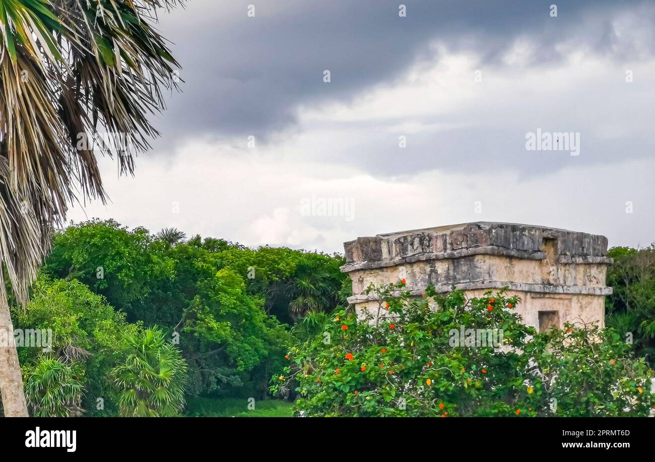 Ancient Tulum ruins Mayan site temple pyramids artifacts seascape ...
