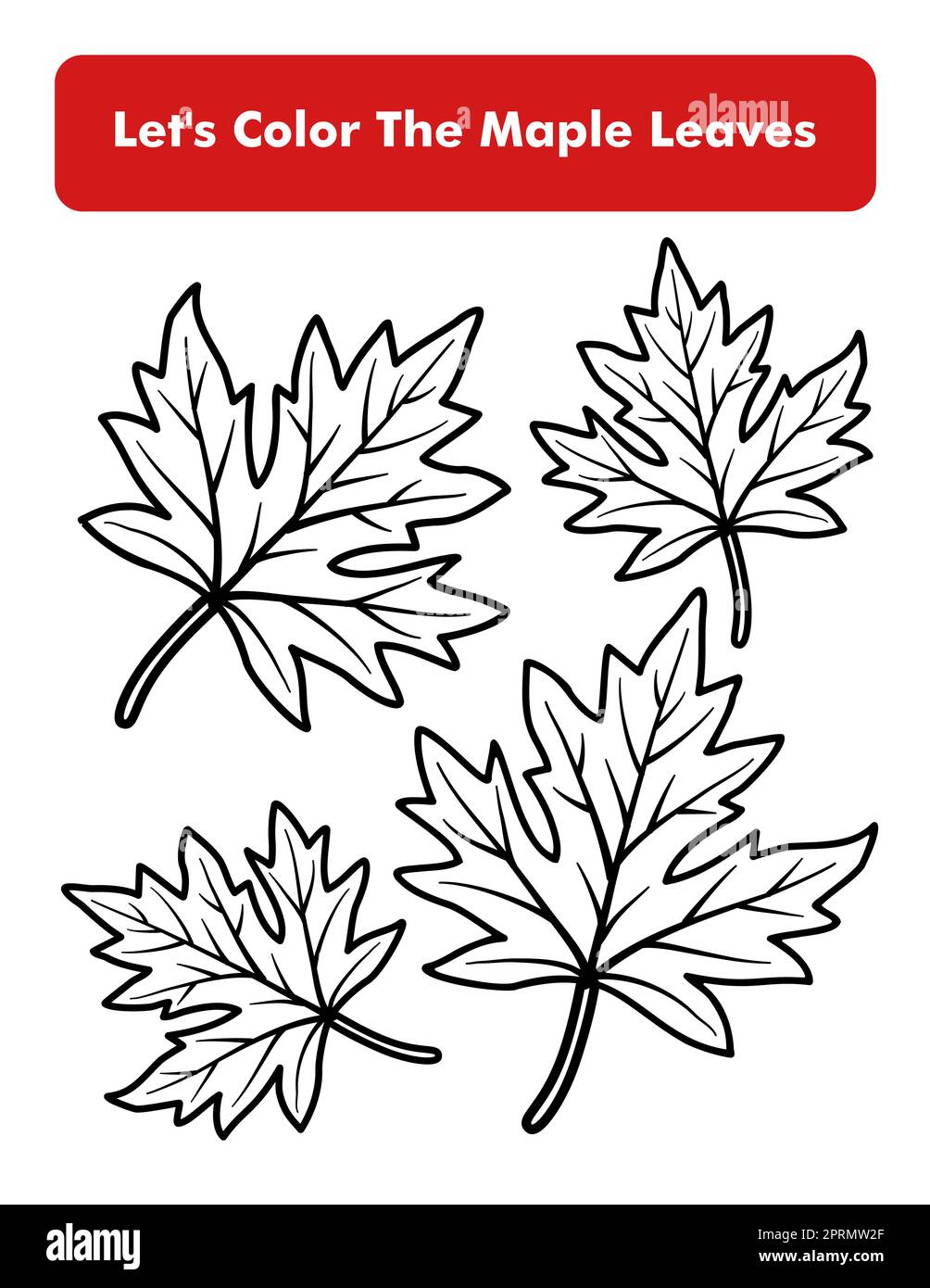 Maple Leaves Coloring Book Page In Letter Page Size. Children Coloring ...