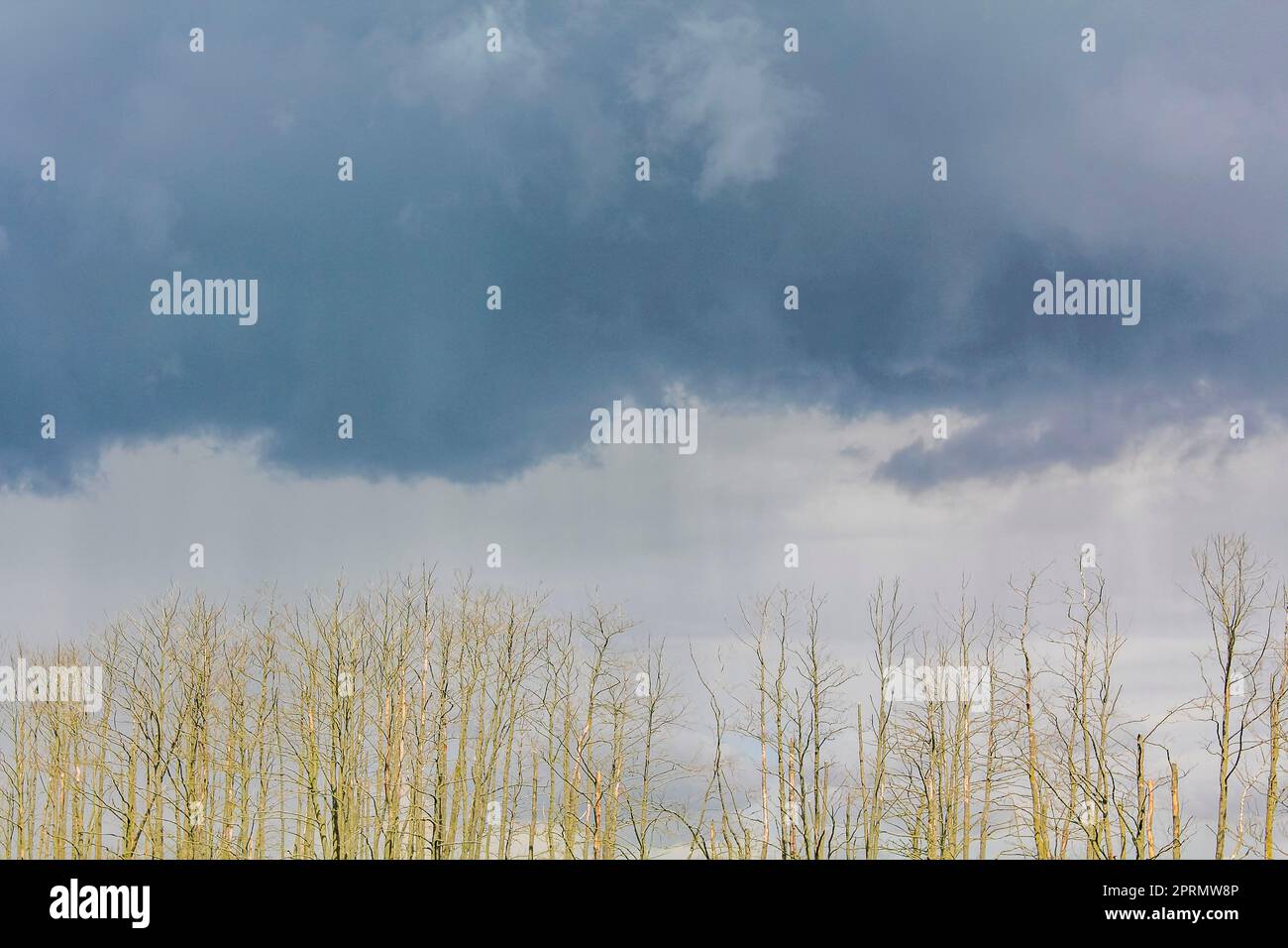 Heavy rain storm clouds and waves water river Oste Germany Stock Photo ...