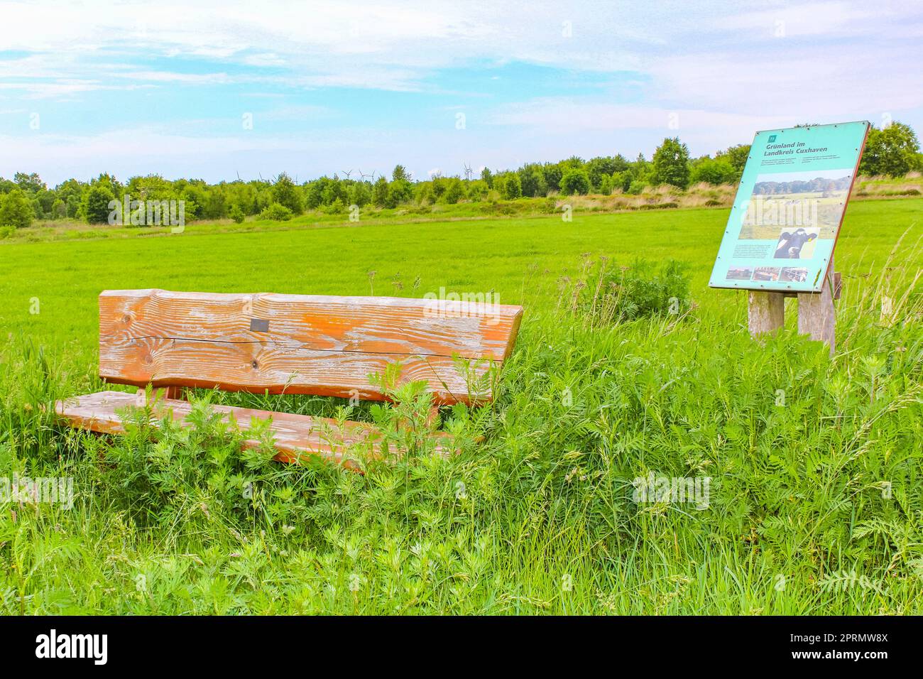 North German bench information sign board meadow forest nature Germany ...