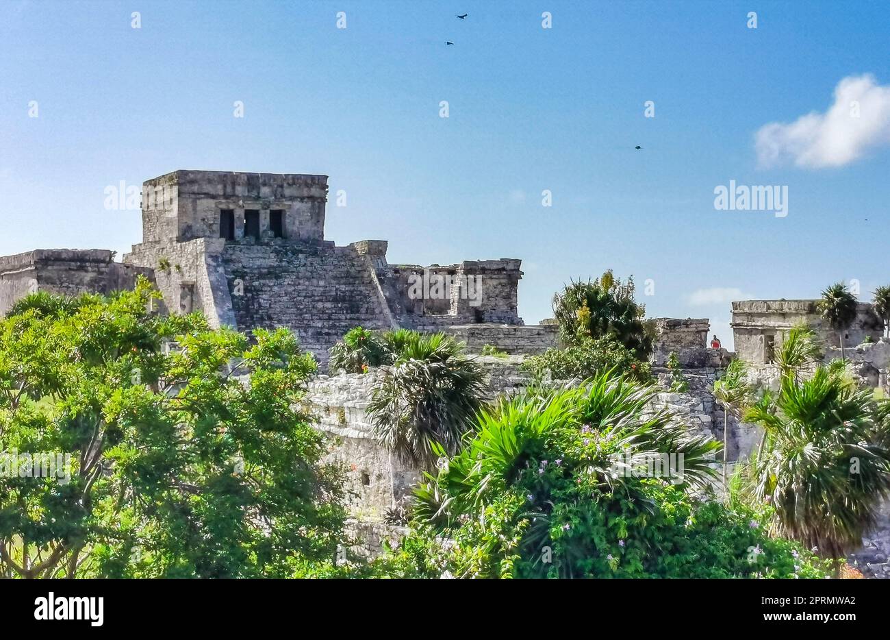 Ancient Tulum ruins Mayan site temple pyramids artifacts seascape ...