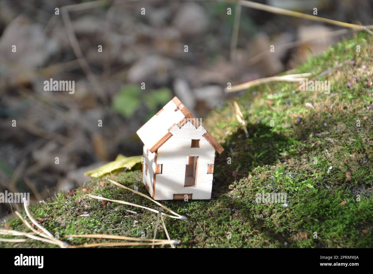Model of a small wooden house in a the forest Stock Photo - Alamy