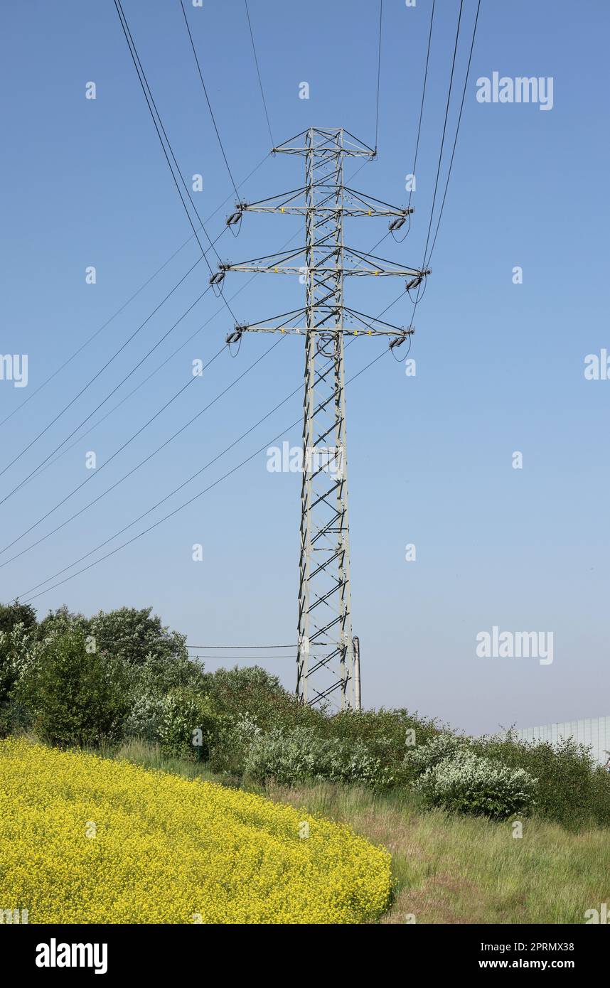 high voltage power pole and lines Stock Photo - Alamy