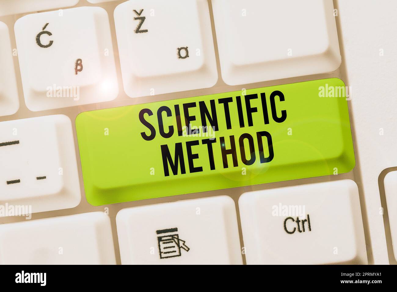 Conceptual display Scientific MethodPrinciples Procedures for the ...