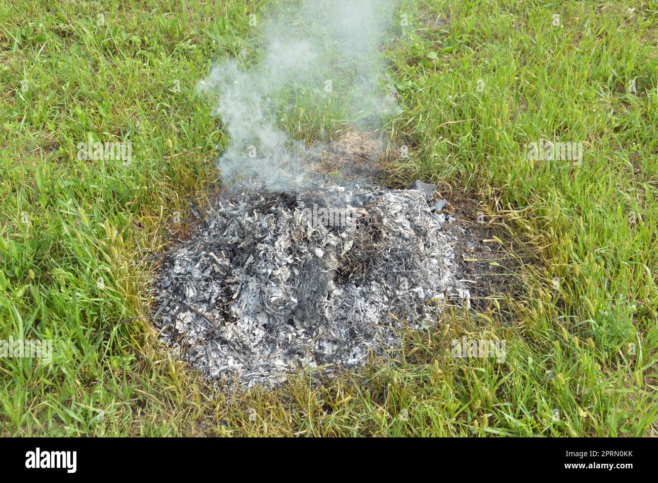 A bonfire with dry plants is burning on a land plot with fire and a ...
