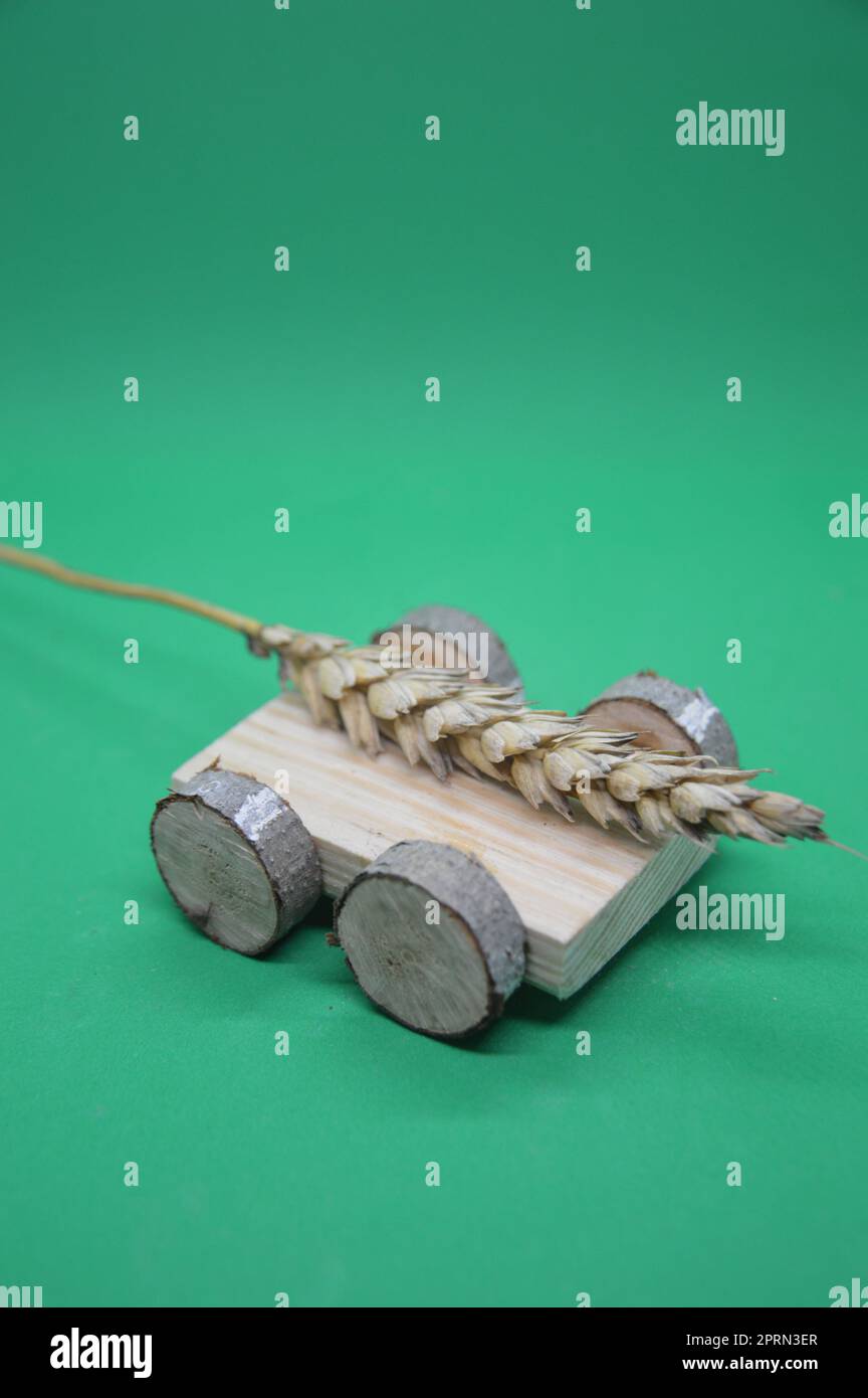 Macro photography of objects on a the green background Stock Photo - Alamy