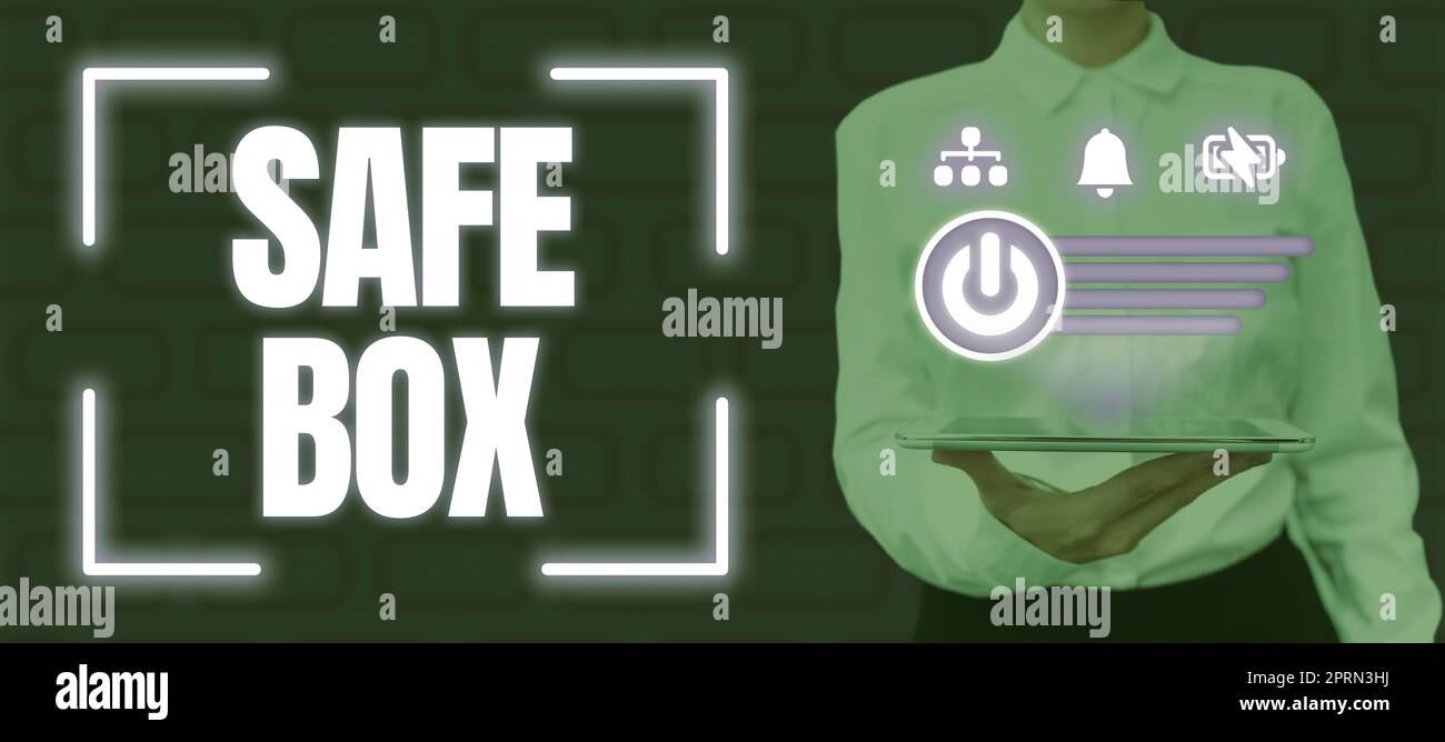 Text showing inspiration Safe Box, Business overview A small structure ...