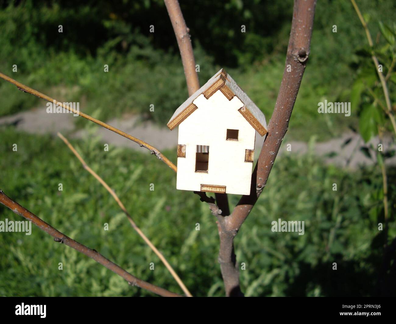 Wooden house on a the tree branch Stock Photo - Alamy