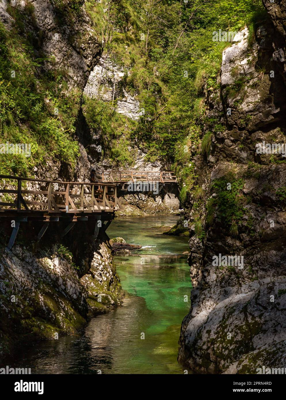 A picture of the Vintgar Gorge, the Radovna Valley river and the ...
