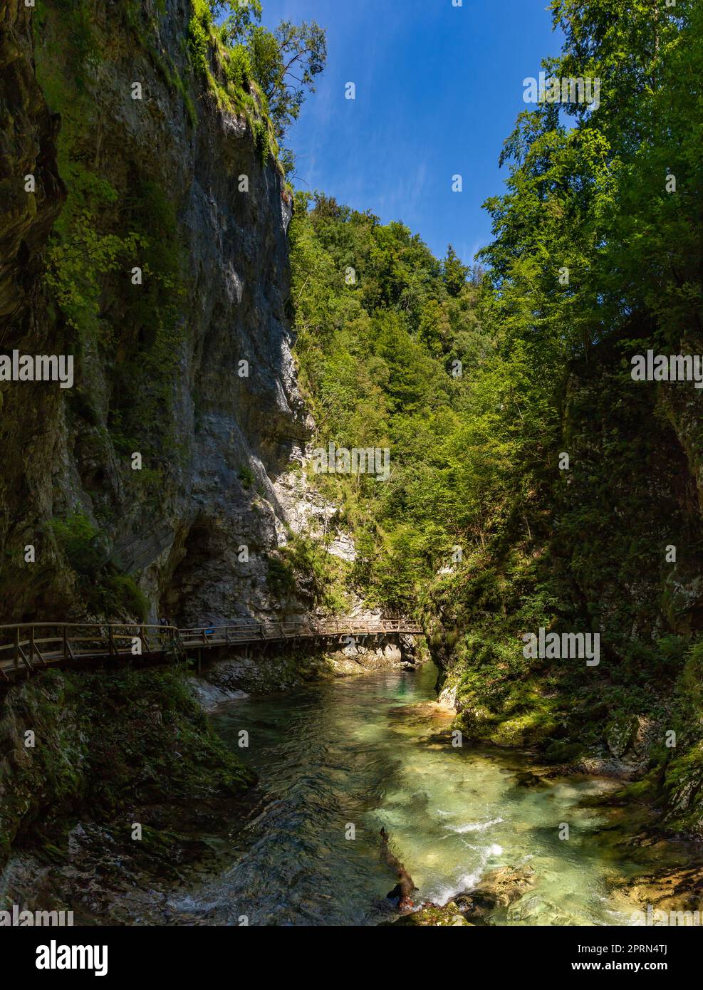 A picture of the Vintgar Gorge, the Radovna Valley river and the ...