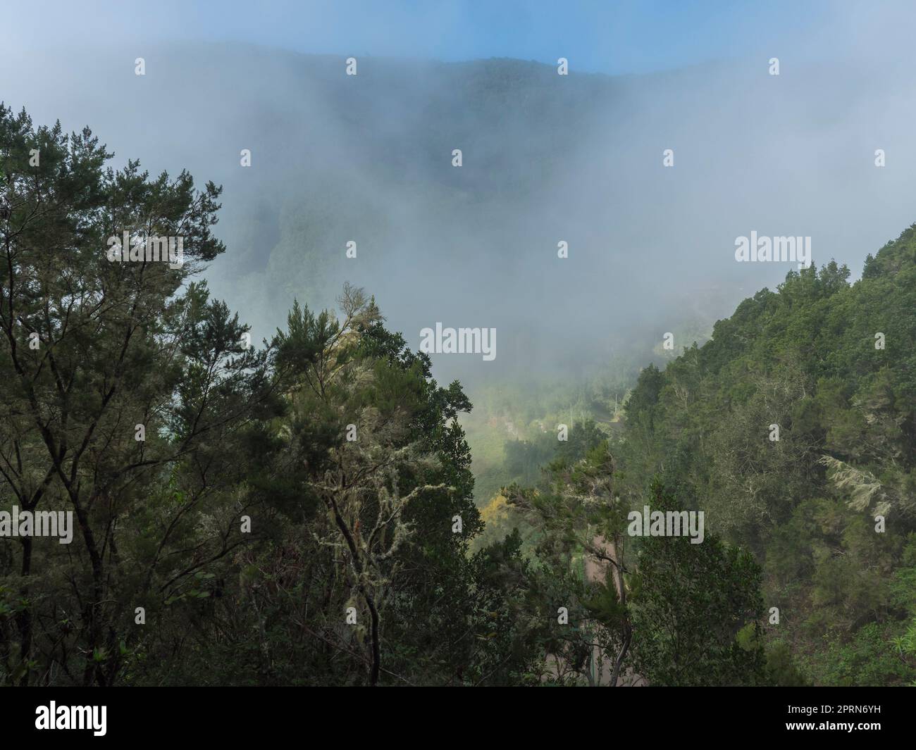 Cedro horizontal hi-res stock photography and images - Alamy