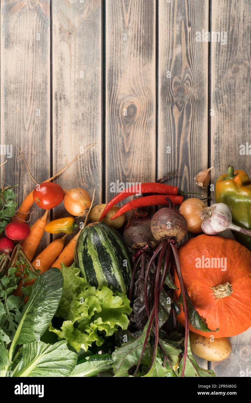 Colorful mix of fresh vegetables, top view. Sorting of organic seasonal ...