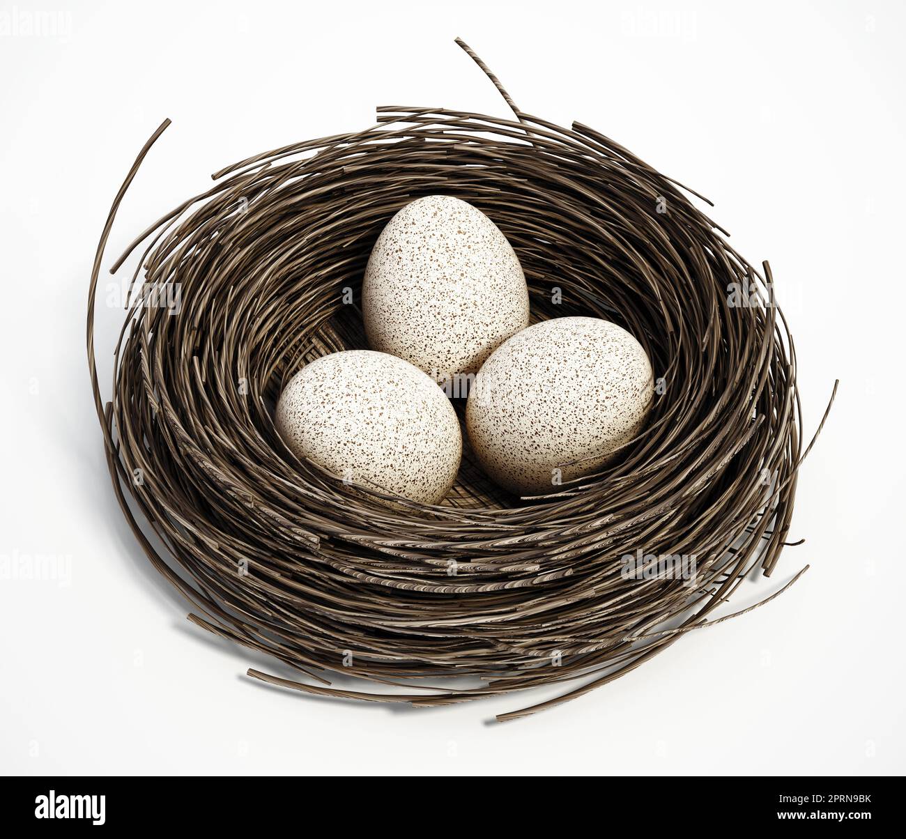 Three bird eggs inside bird's nest. 3D illustration Stock Photo - Alamy