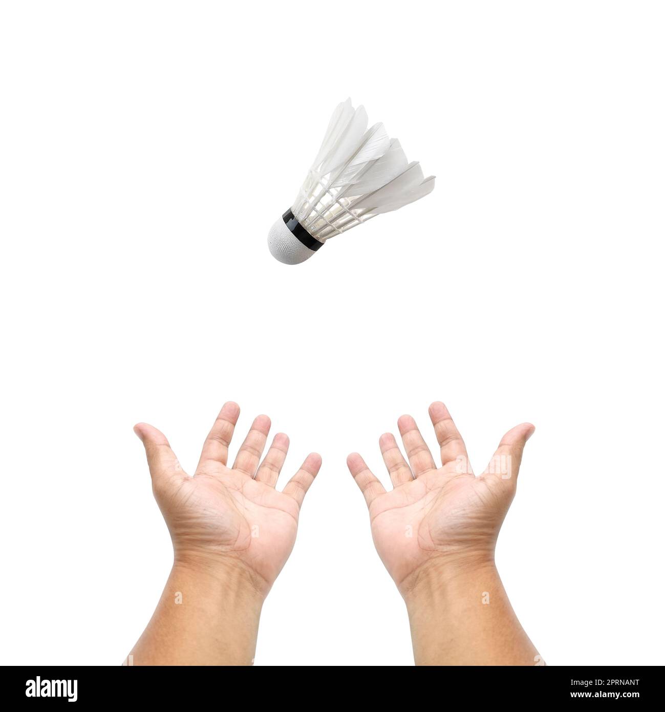 Hand holding Badminton ball on white background Stock Photo - Alamy
