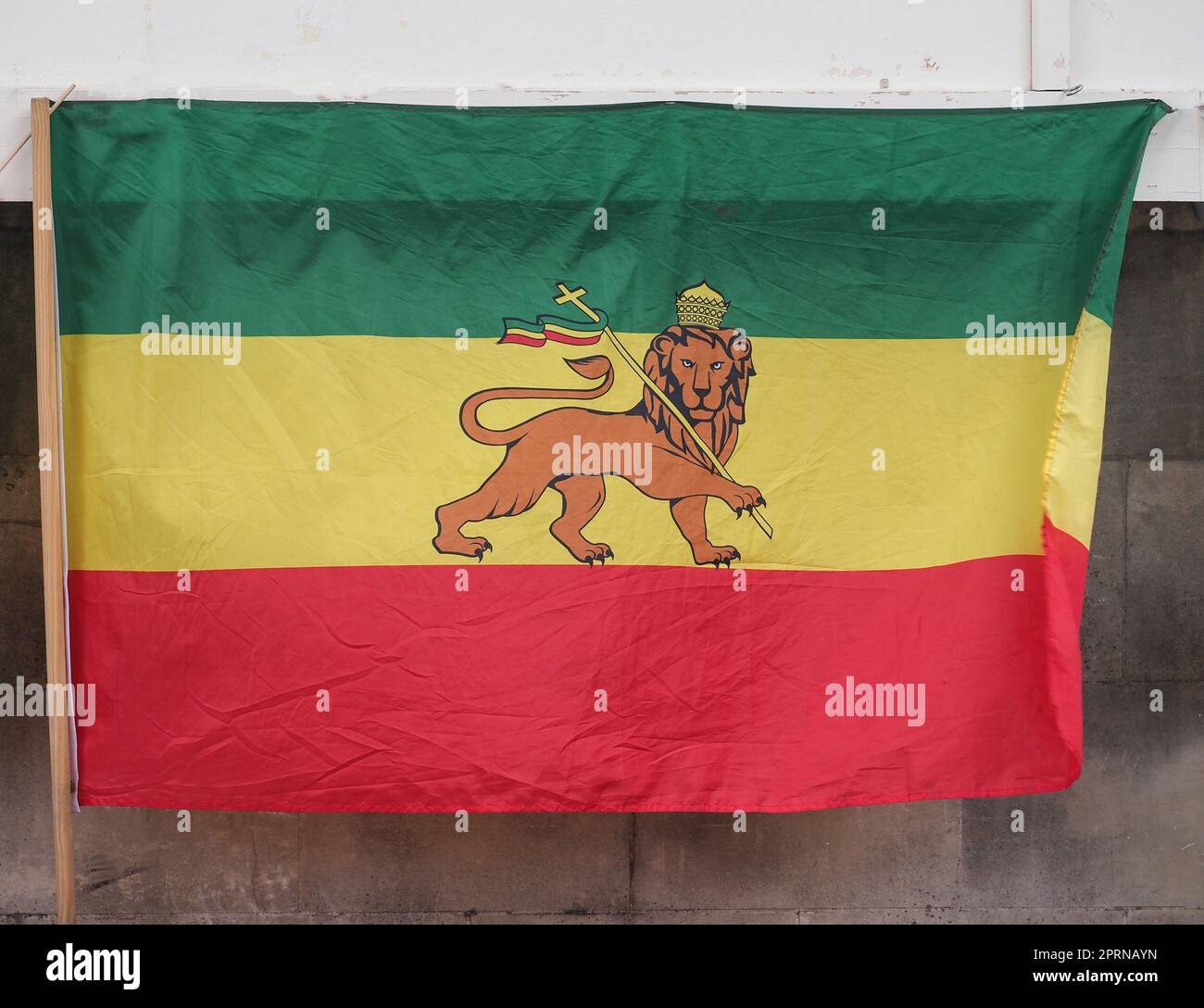 Ethiopian Flag Lion Ethiopia Lion Hand Flag 3 Pack | Flagly.co.uk