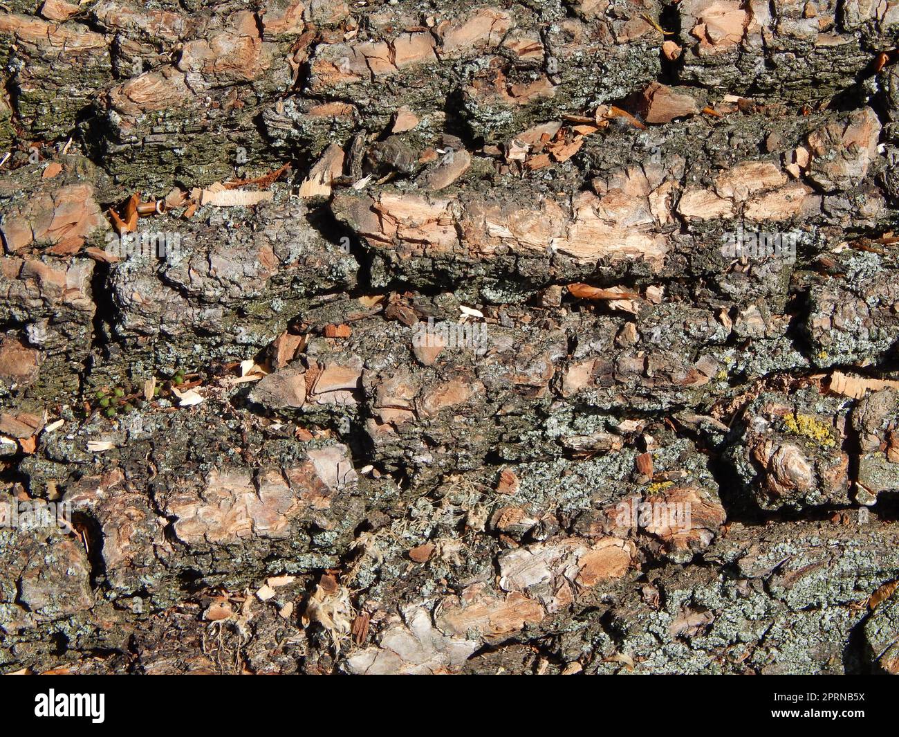 Graphic resources design composition and texture Stock Photo - Alamy