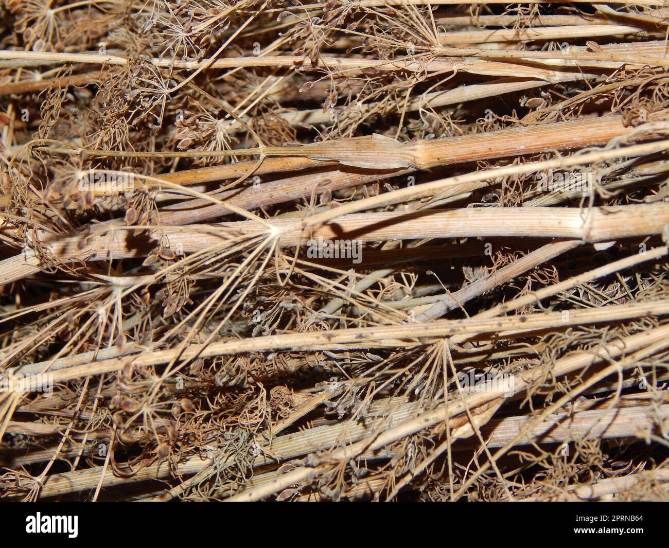 Graphic resources design composition and texture Stock Photo - Alamy