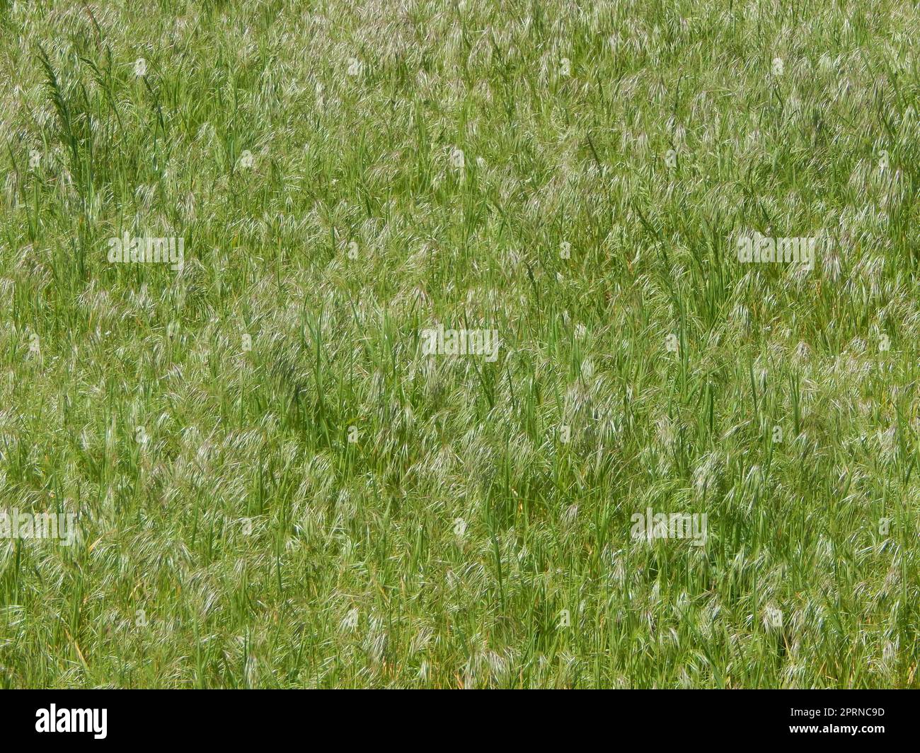 Graphic resources design composition and texture Stock Photo - Alamy