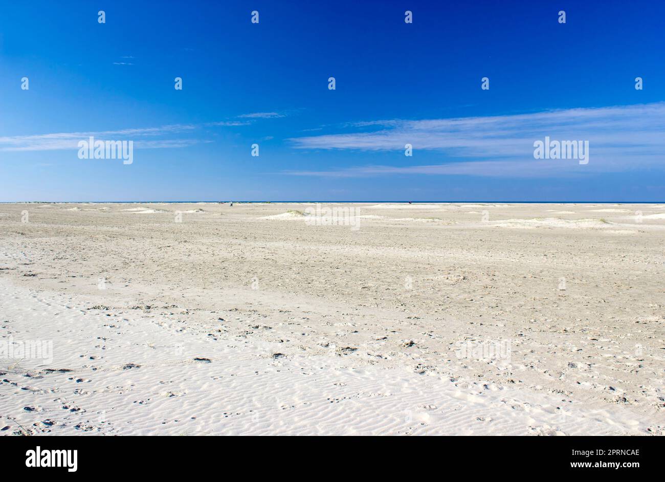 beach in Renesse, Netherlands Stock Photo - Alamy