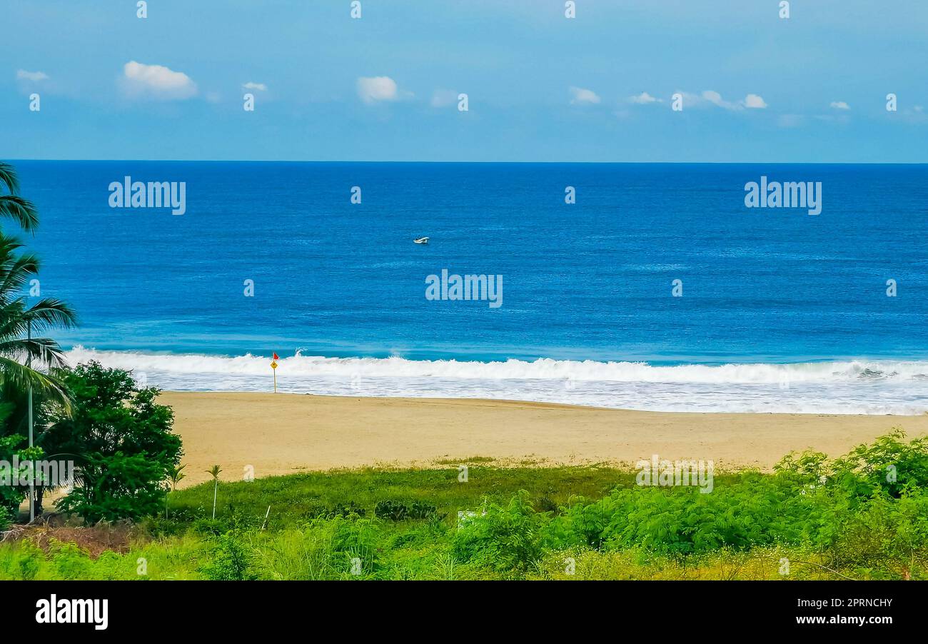 Beautiful natural panorama view with surfer waves palm trees and blue ...