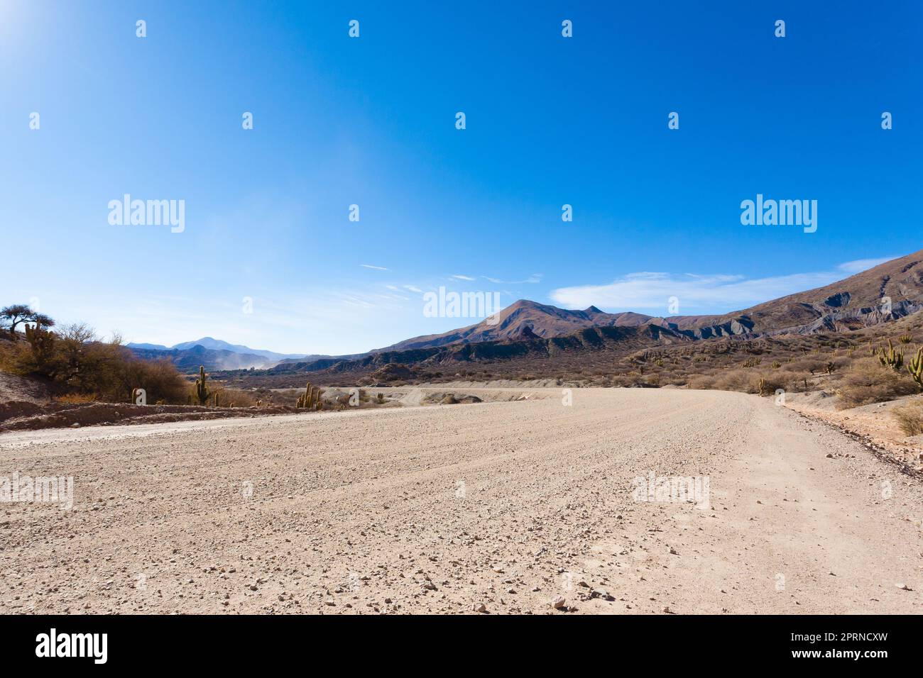 Bolivian dirt road view near Tupiza,Bolivia.Quebrada de Palmira area ...