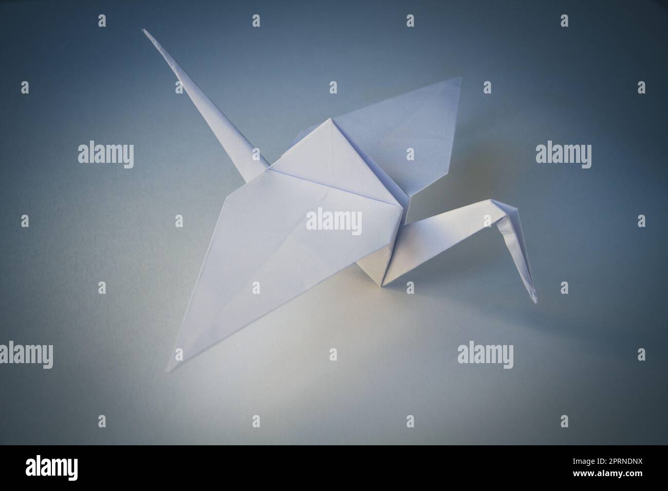 White paper crane origami isolated on a blank background Stock Photo ...