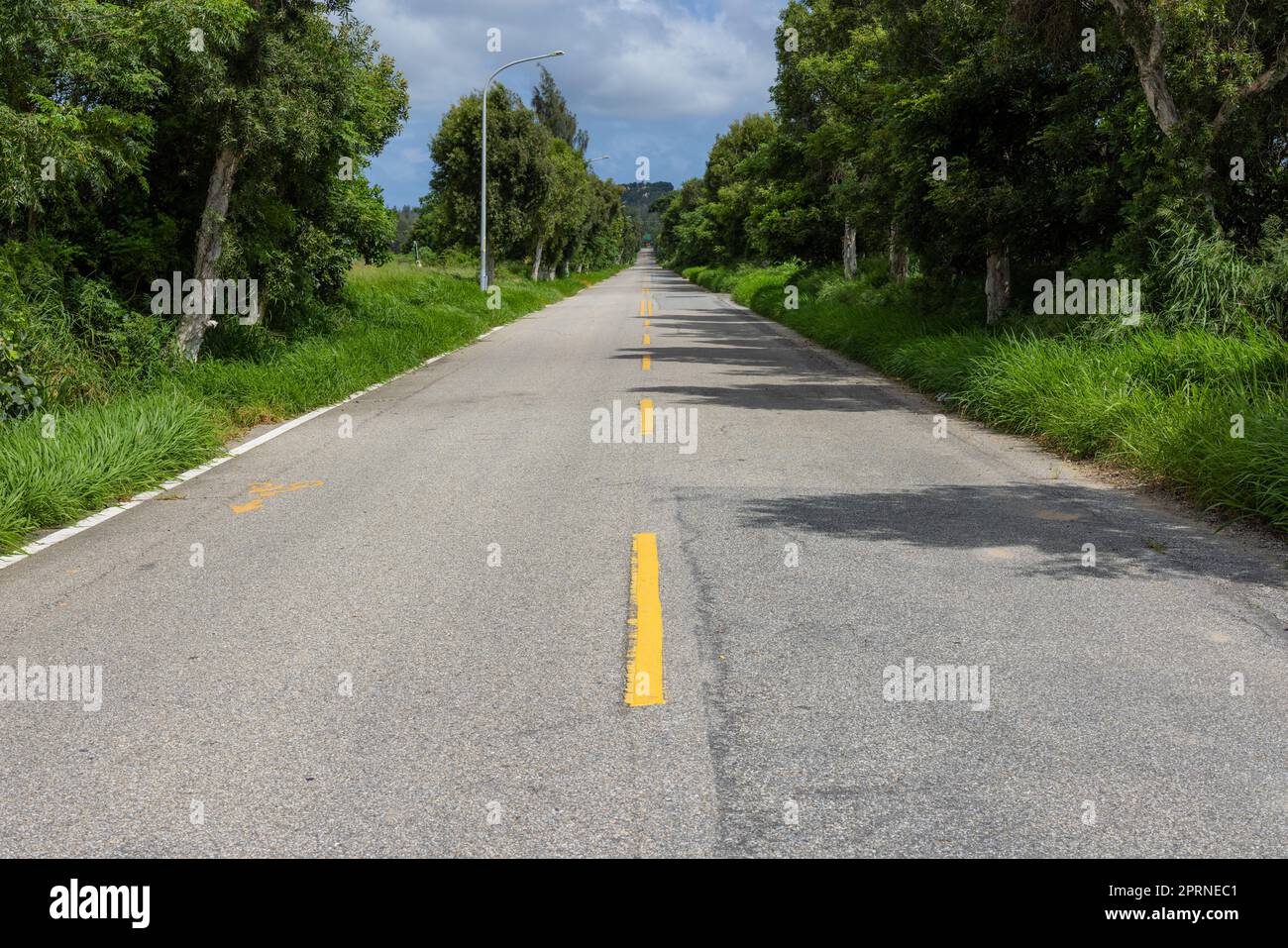 Asphalt road with trees on the side Stock Photo - Alamy