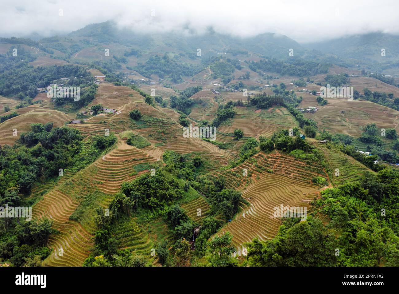 rice terraces of sapa vietnam Stock Photo - Alamy