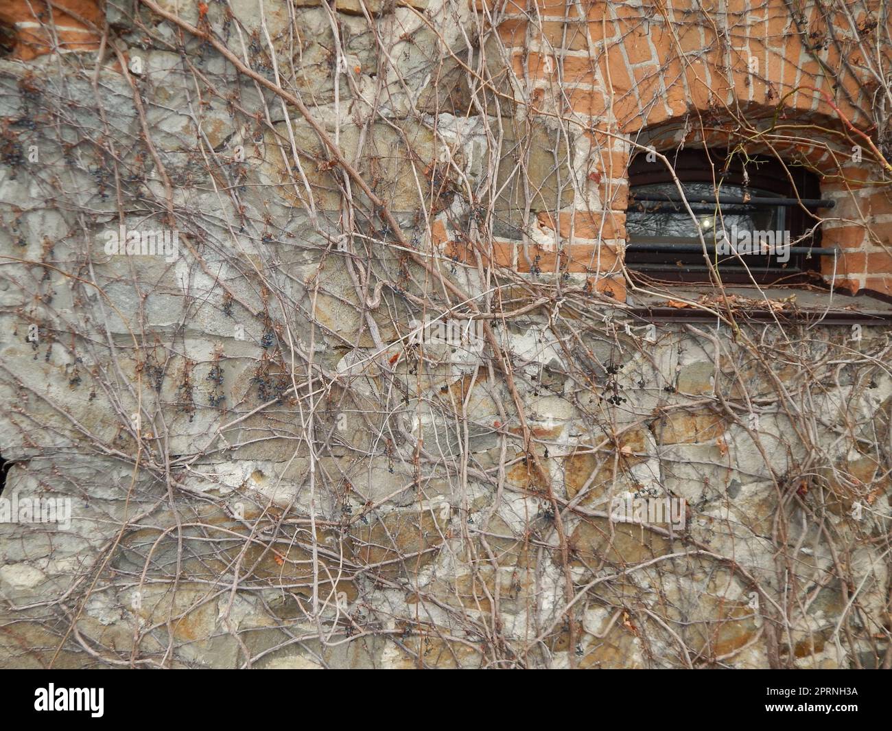 Architecture of medieval castle details and elements Stock Photo - Alamy