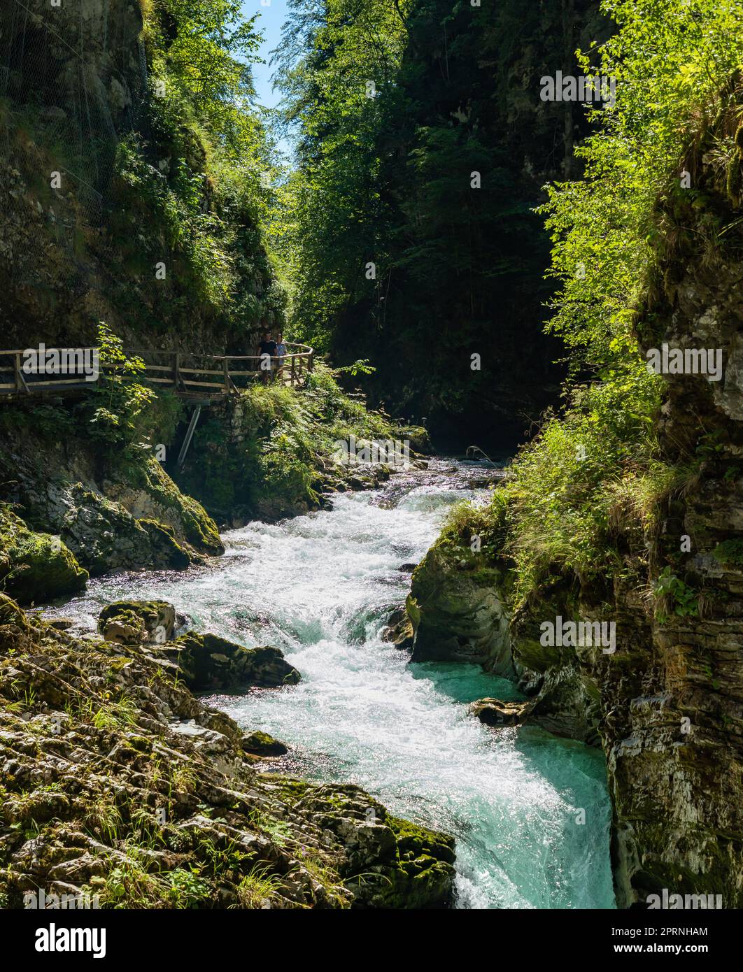 A picture of the Vintgar Gorge, the Radovna Valley river and the ...