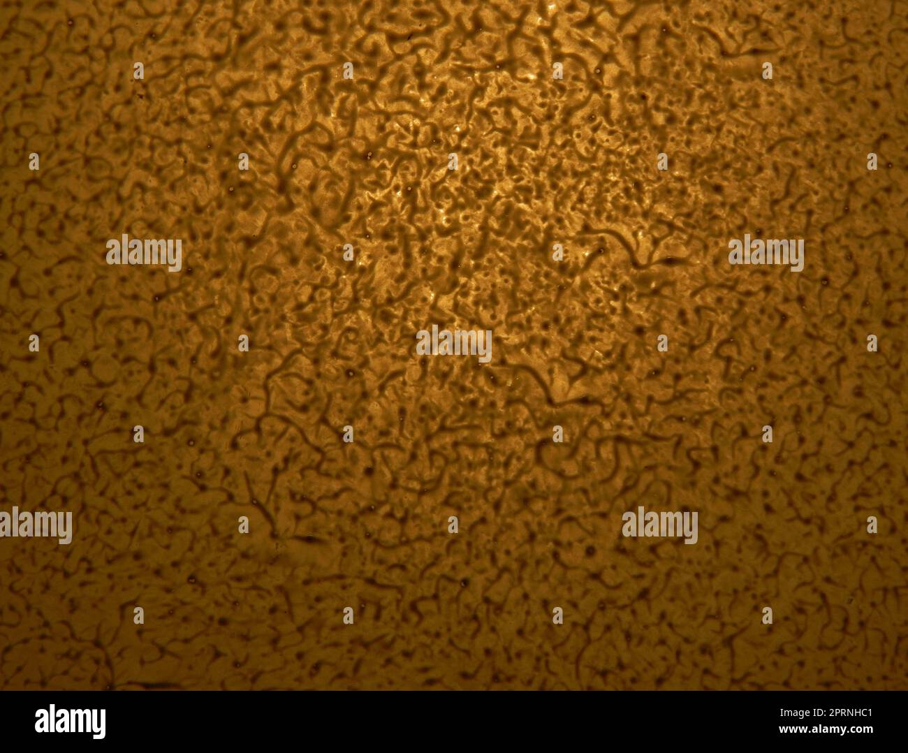 Light effects of luminescence, glow lamp, LED, gas texture Stock Photo ...