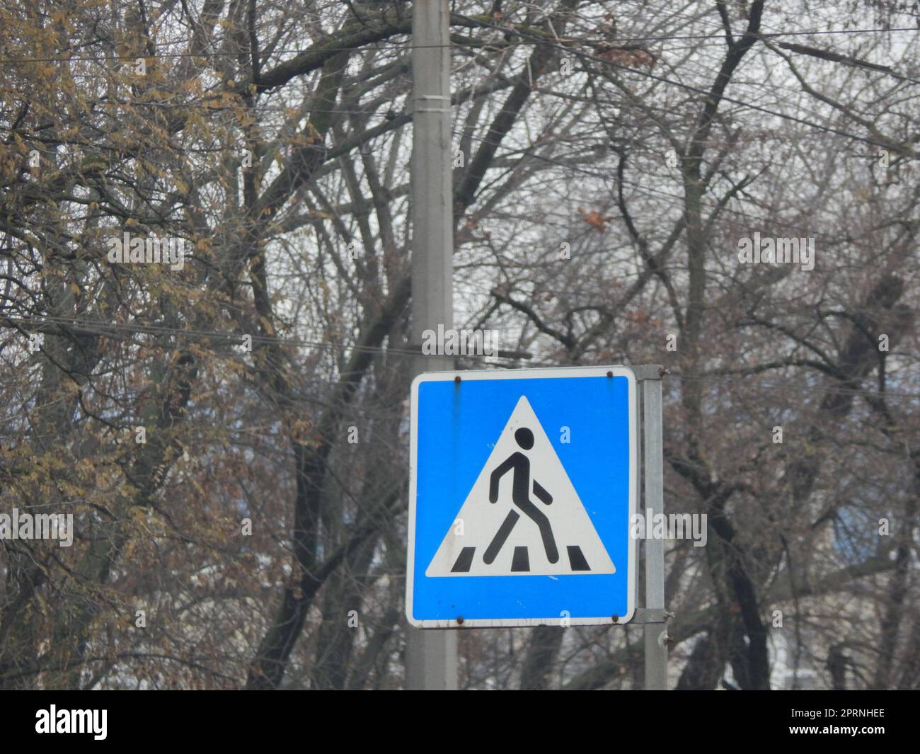 Road signs indicating the direction of movement of cars and pedestrians ...