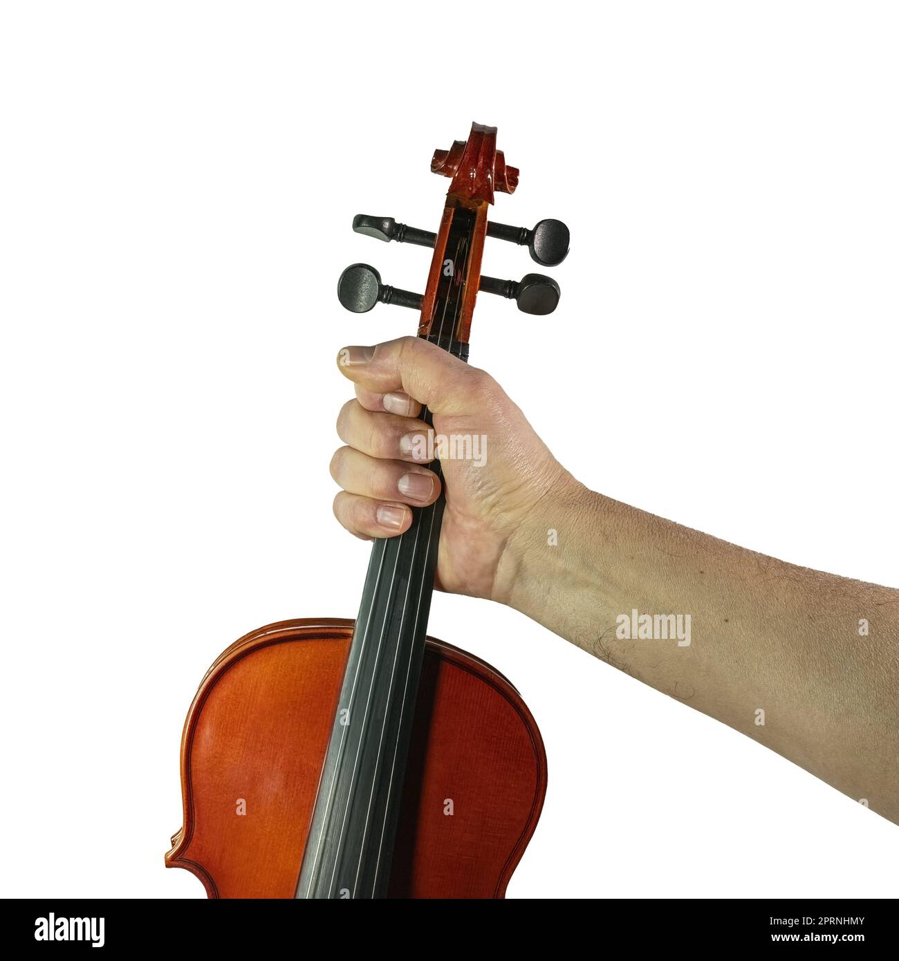 a violin in the hand on a transparent background Stock Photo - Alamy