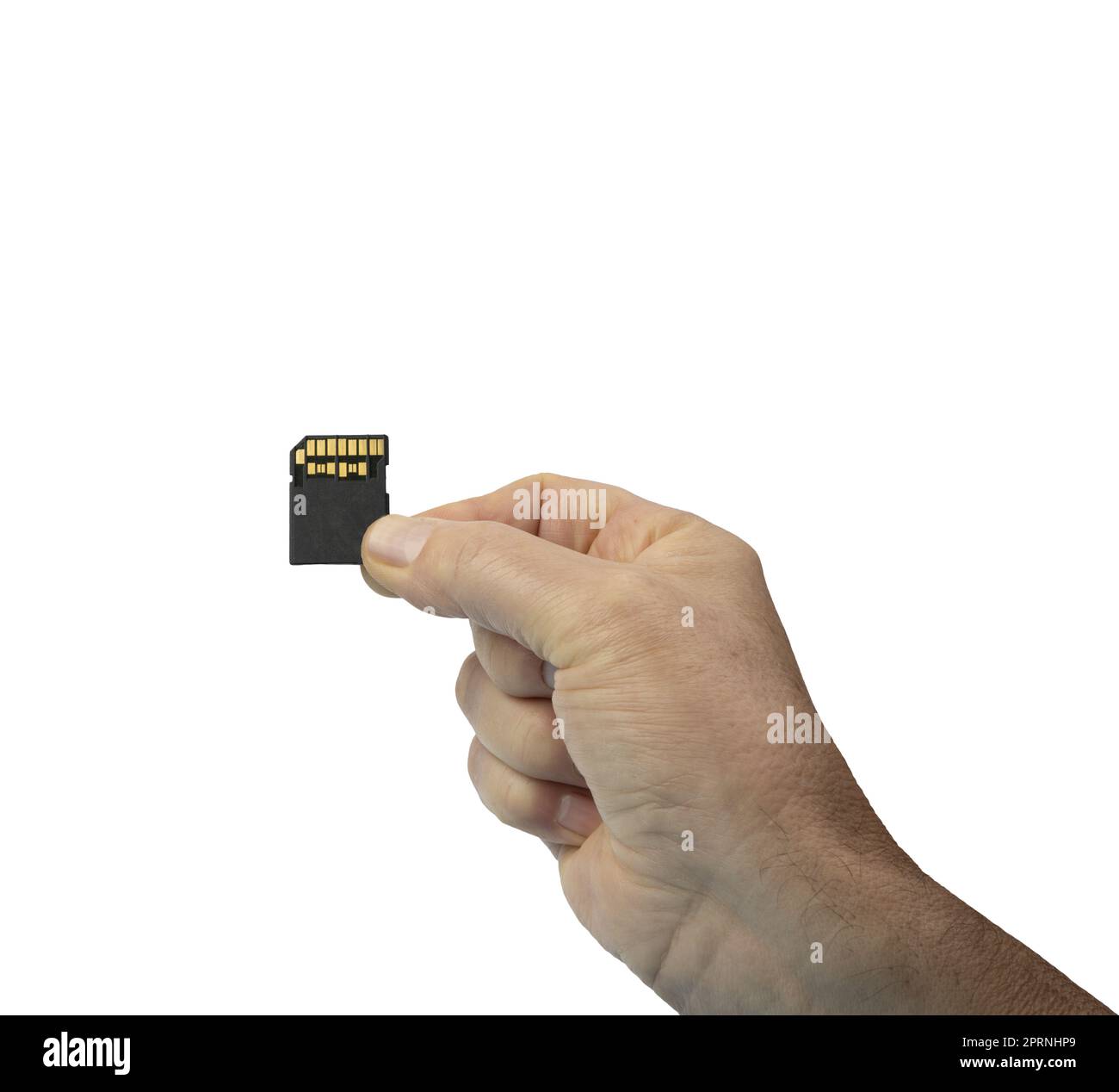 a male hand with a SD memory card on a transparent background Stock ...