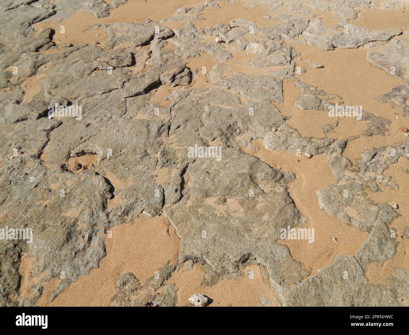 Stone texture on the Red Sea of Egypt Stock Photo - Alamy