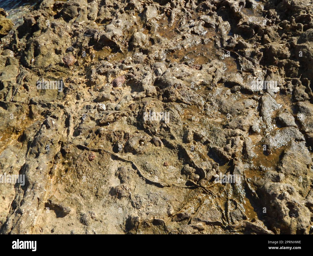Stone texture on the Red Sea of Egypt Stock Photo - Alamy
