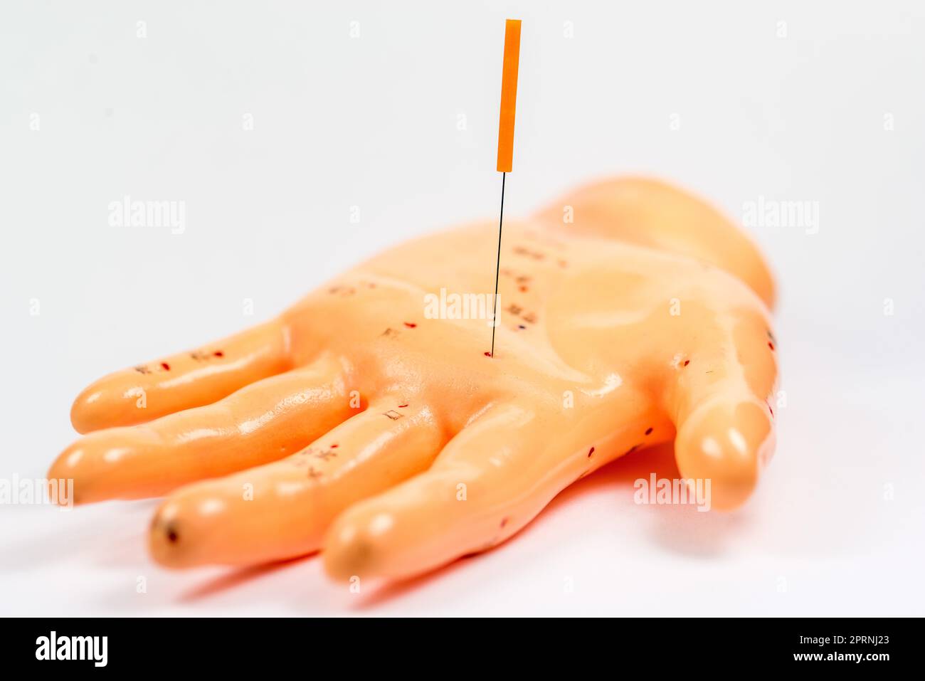 acupuncture needle on hand acupuncture model Stock Photo - Alamy