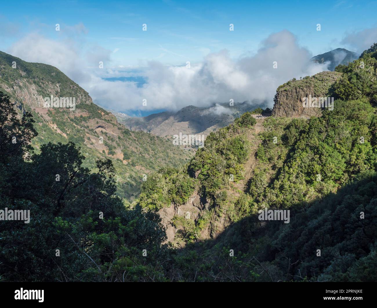 Cedro horizontal hi-res stock photography and images - Alamy