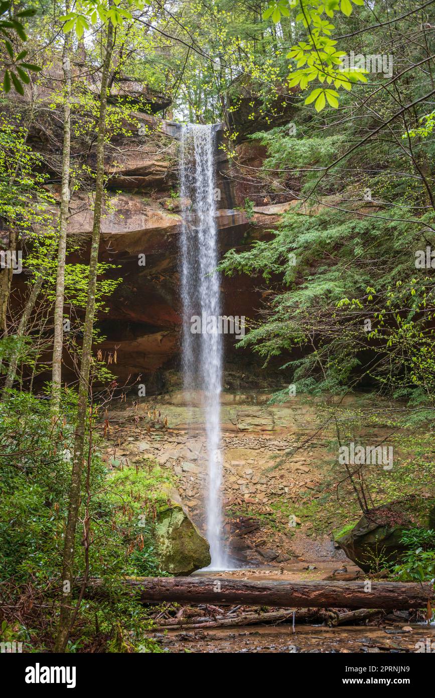 Big South Fork National River and Recreation Area in Kentucky Stock ...