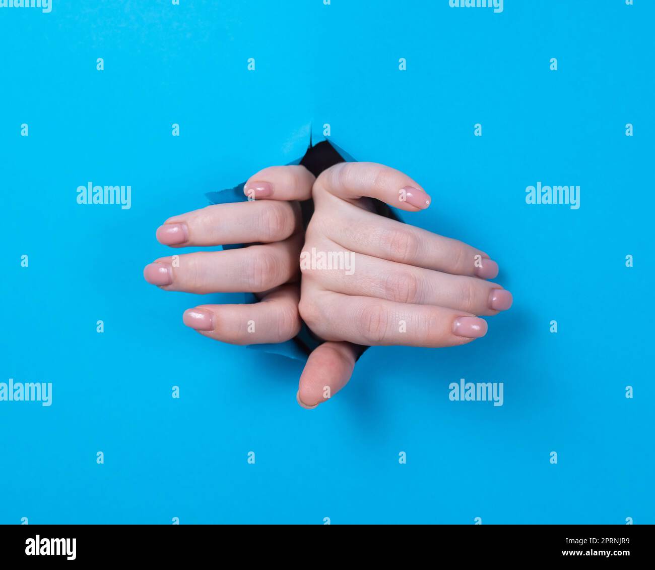 Female hands sticking out through a hole on a blue background Stock ...
