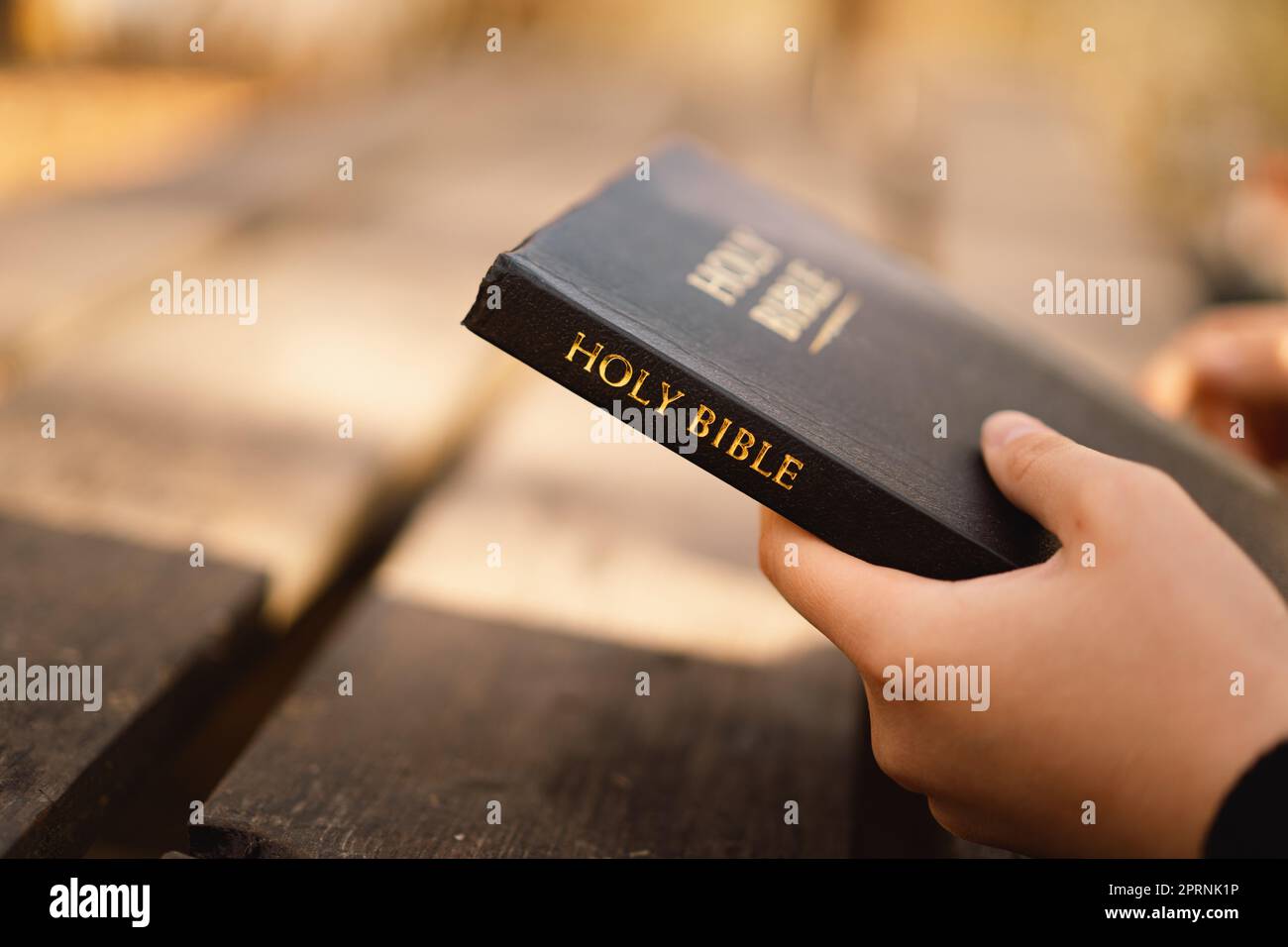 Christian teen girl holds bible in her hands. Reading the Holy Bible ...