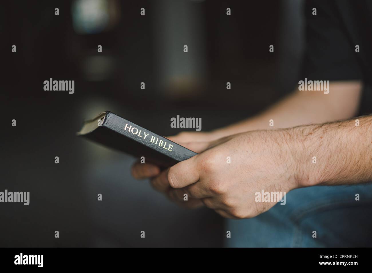 Christian man holds holy bible in hands. Reading the Holy Bible in a ...