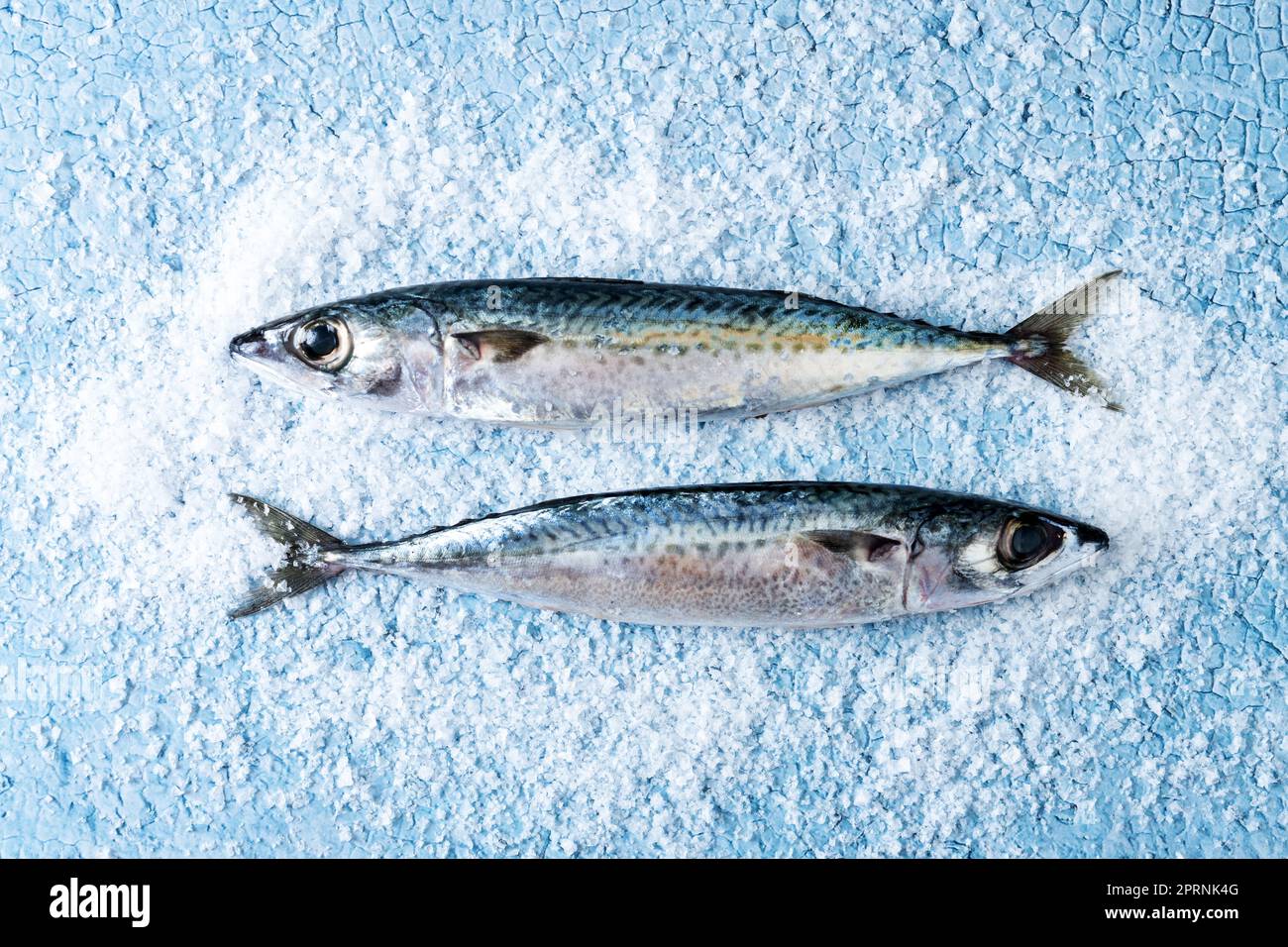 Raw mackerel fish salt around on blue background Stock Photo - Alamy