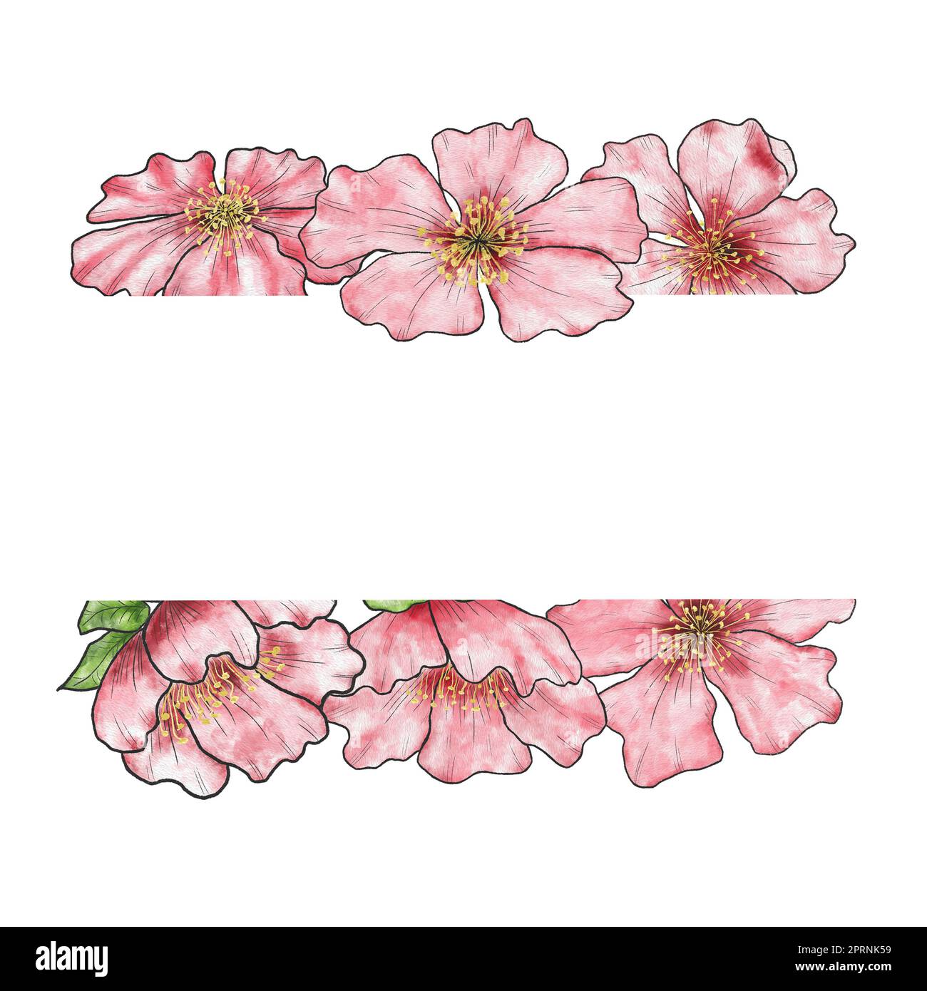 Cherry blossom. Invitation, card, banner with watercolor pink cherry ...