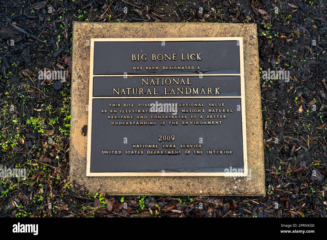 Big Bone Lick in Kentucky Stock Photo - Alamy