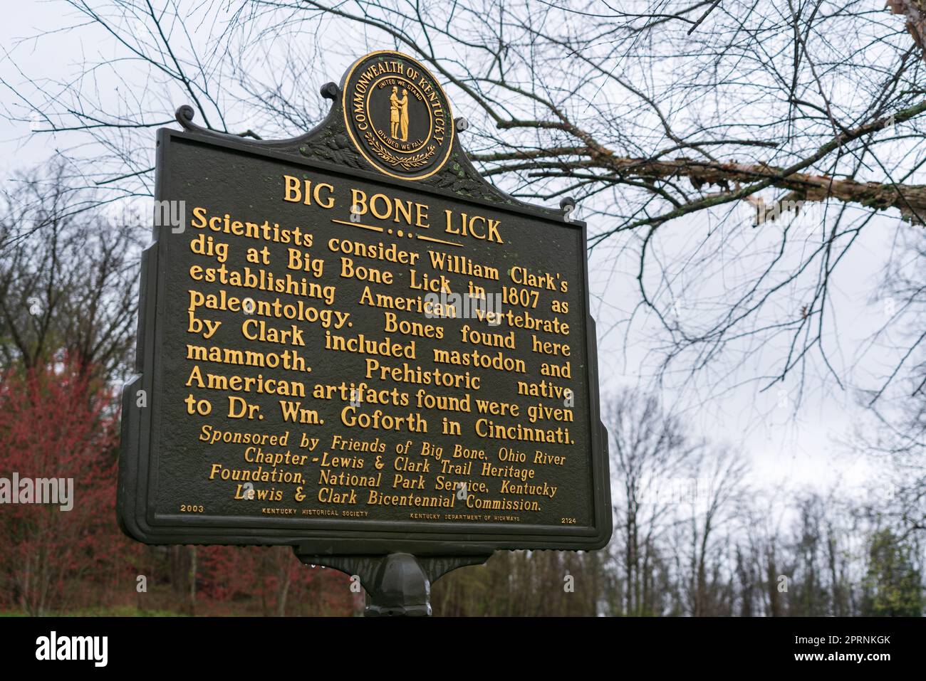 Fossils in understanding hi-res stock photography and images - Alamy