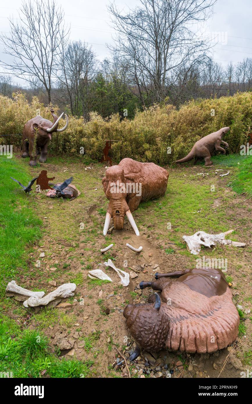 Big Bone Lick in Kentucky Stock Photo - Alamy
